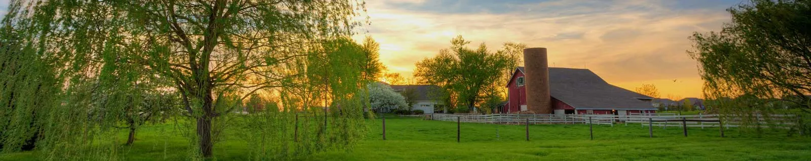 Brian Albano | eXp Realty in Tennessee