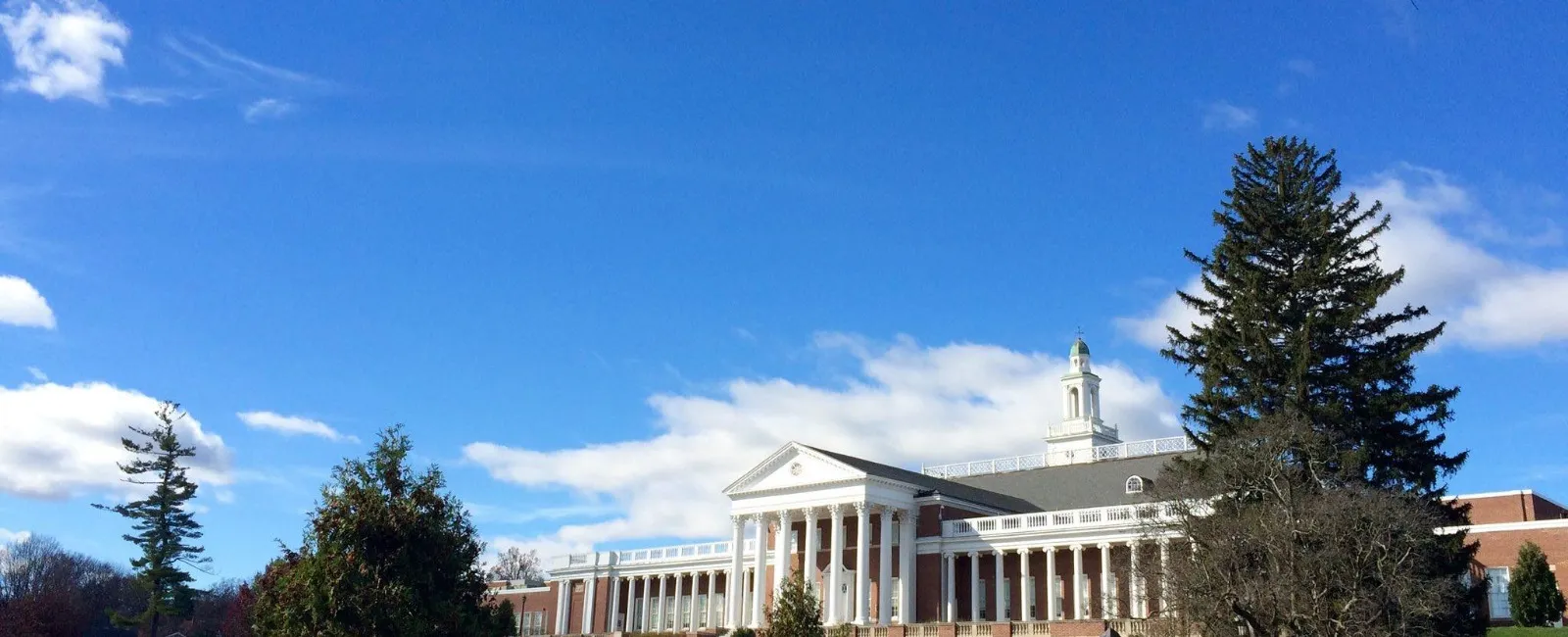 Cynthia Butler, Realtor