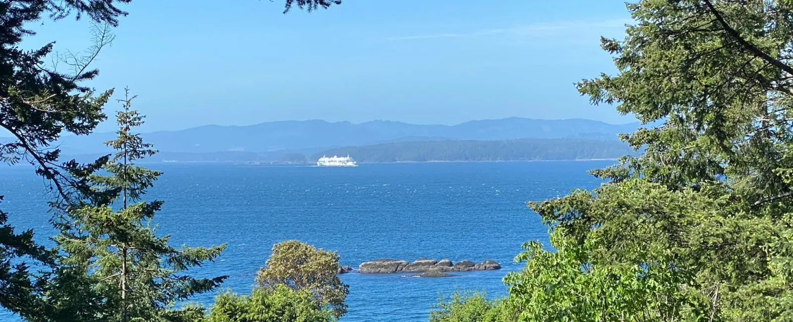 Maple Ridge BC Real Estate & Homes for Sale | RE/MAX Lifestyles