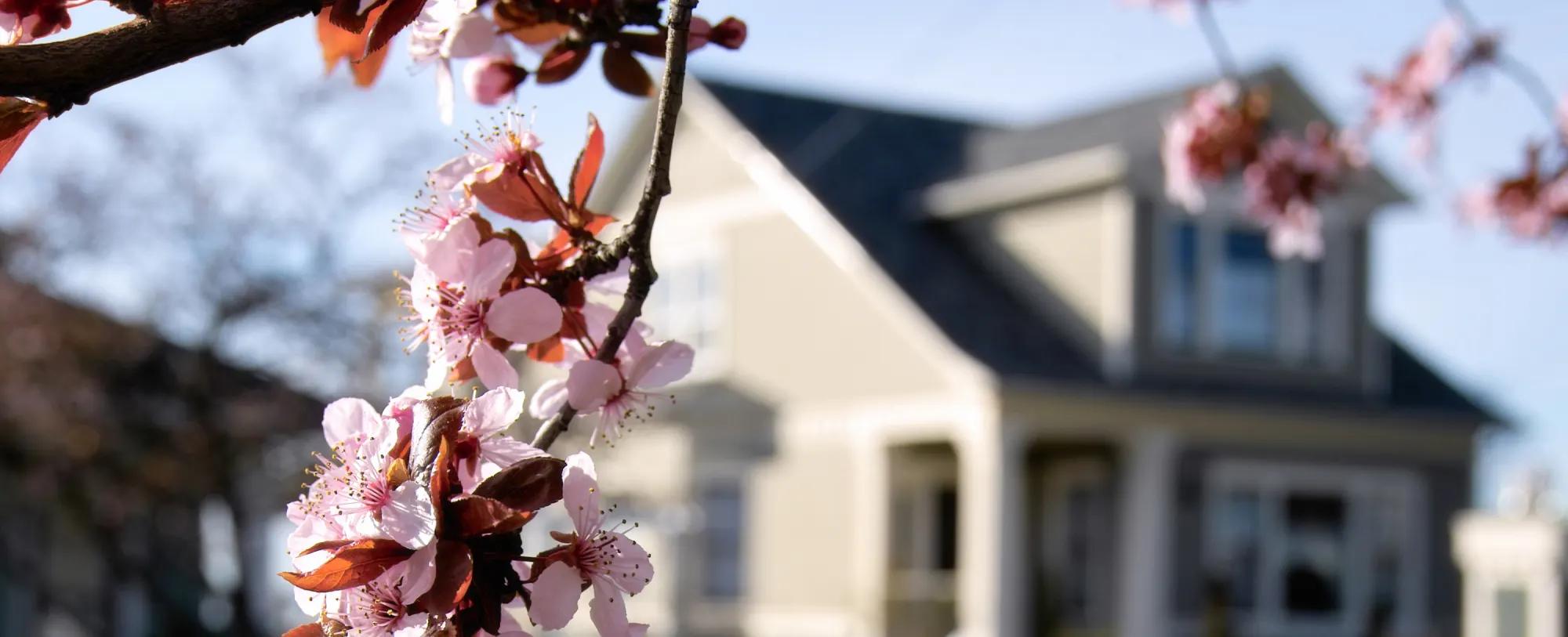 Honolulu HI Real Estate & Homes for Sale | RE/MAX Honolulu