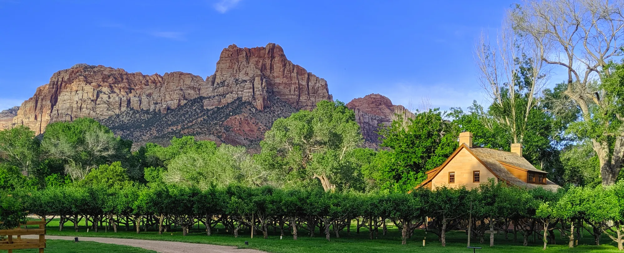 Phoenix AZ Real Estate & Homes for Sale | American Freedom Realty LLC