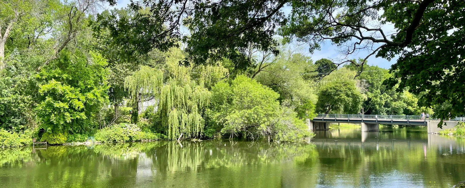 Your home search starts here.