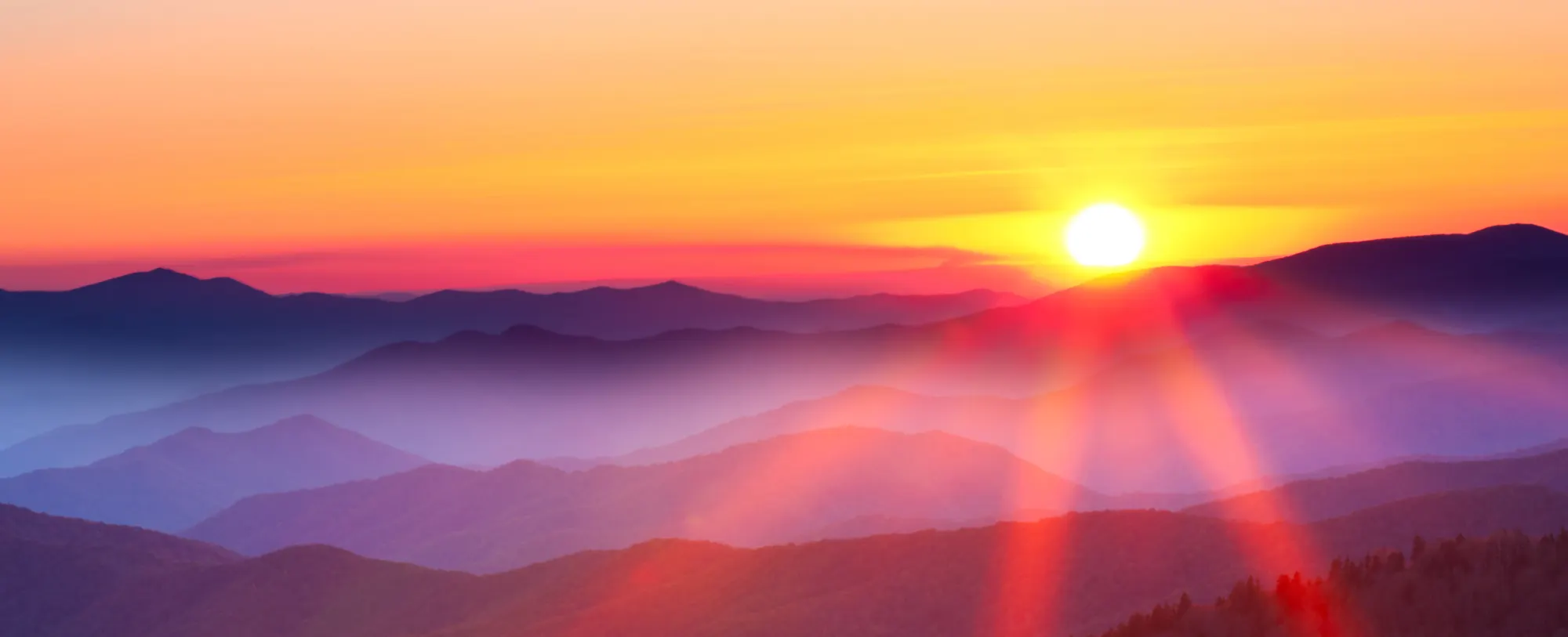 Gianncarlo Hernandez eXp