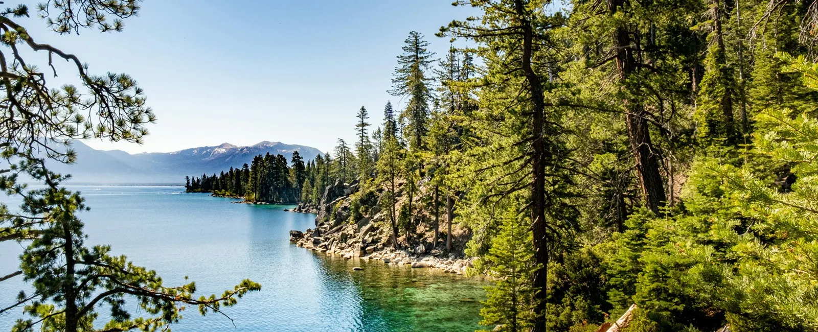 Becca deLumeau Real Estate Agent Reno Nevada Realtor